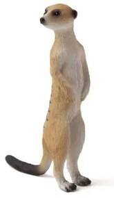 Mojo Surikata