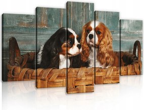 Obraz 100x60 Pejsci štěňat Cavalier King Charles Spaniel koš sladký
