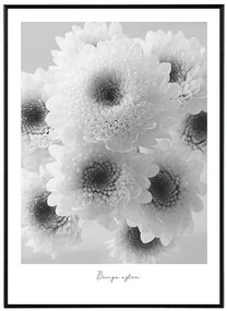 Bouquet - 50x70 cm Obraz