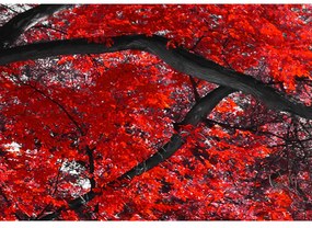 Pětidílný obraz červená krajina + háčky, hřebíčky ZDARMA Velikost (šířka x výška): 200x100 cm