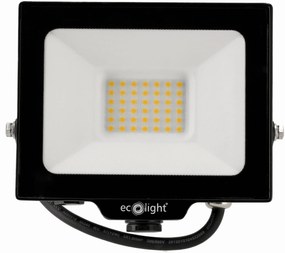 ECOLIGHT LED reflektor 30W 2v1 - studená bílá