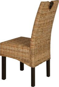 vidaXL Jídelní židle 2 ks ratan kubu a mangovníkové dřevo [243638]