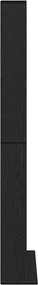 CD skříň Černý dub 101 x 23 x 177,5 cm Kompozitní dřevo 3329339