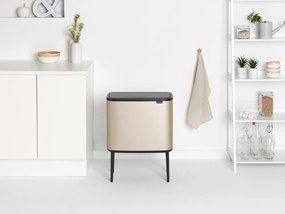 Brabantia BO Touch Bin champagne