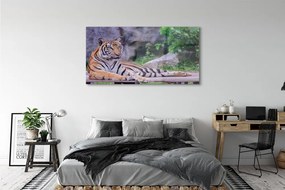 akrylový obraz Tiger v zoo 140x70 cm