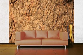DIMEX | Vliesová fototapeta Textura stromu MS-5-2337 | 375 x 250 cm| oranžová, hnědá