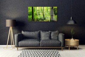 akrylový obraz Les Zeleň Stromy Příroda 100x50 cm
