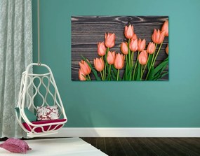 Obraz očarující oranžové tulipány na dřevěném podklade - 90x60 cm