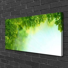 Obraz na plátně Listy Příroda Rostlina 140x70 cm