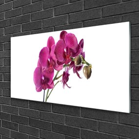 Obraz na skle Orchidej Květiny Příroda 120x60 cm