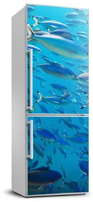 Wallmuralia Nálepka fototapeta lednička Korálové ryby XL 60x180 cm