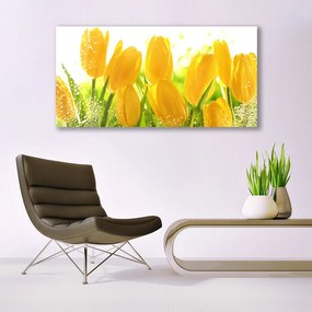 akrylový obraz Tulipány Květiny Rostlina 120x60 cm