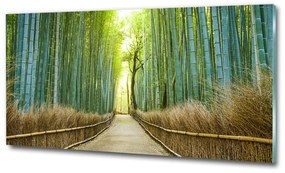 Wallmuralia Fotoobraz na skle Bambusový les 100x50