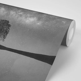 Samolepící fototapeta černobílá hvězdná obloha nad osamělým stromem