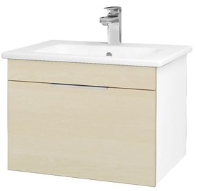 Dřevojas Koupelnová skříň ASTON SZZ 60 Varianta: N01 Bílá lesk / Úchytka T05 / D02 Bříza
