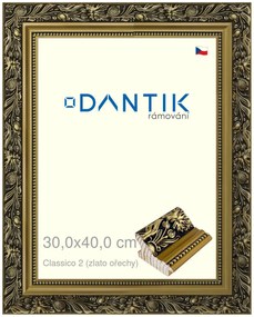 DANTIK rámeček 30x40 | Claico 2 (zlato ořechy) (Plexi Čiré)