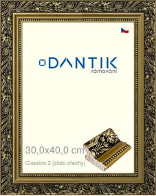 DANTIK rámeček 30x40 | Claico 2 (zlato ořechy) (Plexi Čiré)