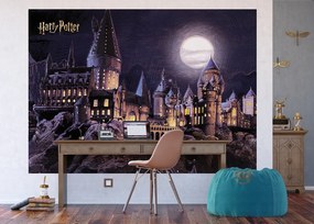 Dětská vliesová fototapeta na zed' Harry Potter Bradavice | 252 x 182 cm | DFTDXL1973