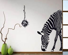 Živá Zeď Samolepka na zeď Zebra