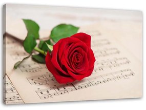 Obraz na plátně Červená růže květ hudby - 60x40 cm