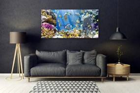 akrylový obraz Korálový Útes Příroda 120x60 cm