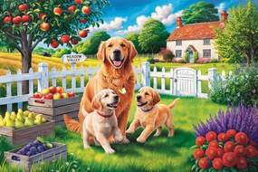 TREFL PUZZLE Easy Piece Psi na venkově 60x40cm 300 dílků skládačka tr23101