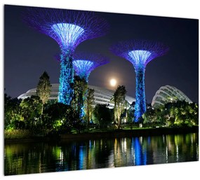 Skleněný obraz úplňku v Singapuských zahradách (70x50 cm)