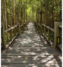 Třídílná vliesová fototapeta Mangrovový les, rozměr 225x250cm, MS-3-0059