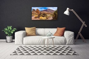 Obraz na plátně Hory Rostliny Skály Krajina 100x50 cm