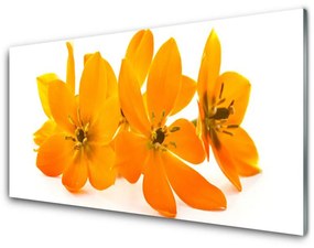 Obraz na skle Oranžové Květiny 120x60 cm