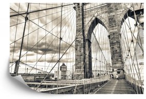 Fototapeta Brooklyn Bridge Ny Hladký vinyl 400x280