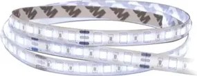 Solight WM64-50M-CW LED SMD pásek / 50m / studená bílá / 16W/m / 1500l