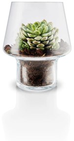 Skleněná váza na sukulenty Succulent Vase 15 cm Eva Solo