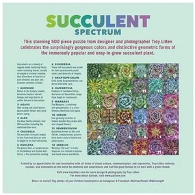 Galison Puzzle Barevné sukulenty 500 dílků