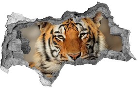 Wallmuralia Díra 3D foto tapeta nálepka Bengálský tygr 95x73 cm