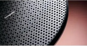 Hansgrohe Raindance Alive S - Hlavová sprcha | průměr 30 cm | 2 proudy