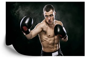 Fototapeta Muay Thai Boxer Hladký vinyl 416x254