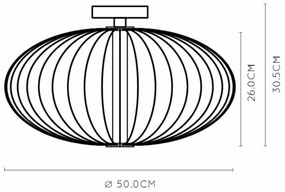 Lucide 20114/50/30 - LED Stmívatelné stropní svítidlo CARBONY LED/5W/230V