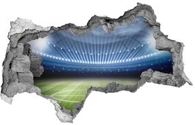 Wallmuralia Fototapeta díra na zeď 3D nálepka Stadion 95x73 cm