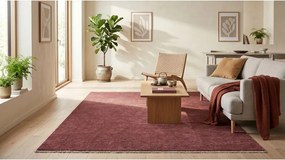 Vínový koberec 160x230 cm Puro – ESTE
