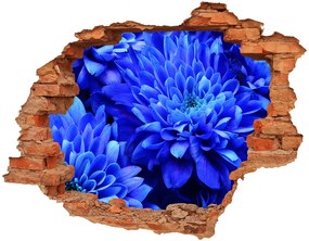 Wallmuralia Samolepící díra nálepka Modrá astera 90x70 cm