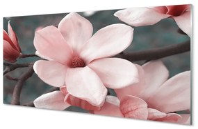 akrylový obraz růžové květy 100x50 cm