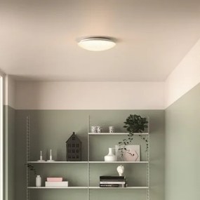 LED nástěnné a stropní svítidlo Philips Mauve teplá bílá 32096/31/P0