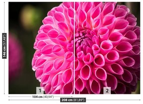 Fototapeta Dahlia Pink 104x70