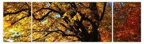 Obraz podzimu (170x50 cm)