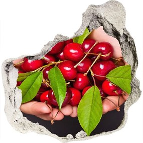 Wallmuralia Samolepící nálepka Višně v dlaních 75x75 cm