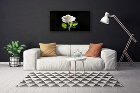 Obraz na plátně Růže Květ Rostlina 100x50 cm