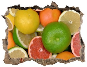 Wallmuralia Nálepka 3D díra Citrusové ovoce 95x64 cm