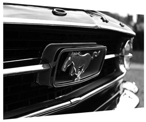 Detailní obraz automobilu značky Mustang  (90x60 cm)