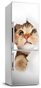 Wallmuralia Samolepící nálepka na ledničku stěnu Kočka XL 60x180 cm
